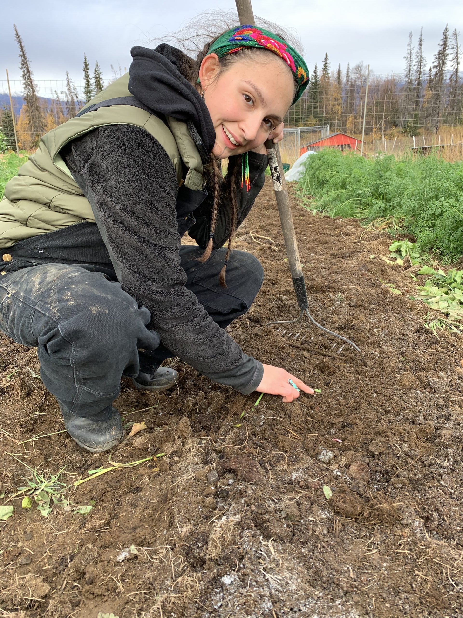 Home - Singing Nettle Farm