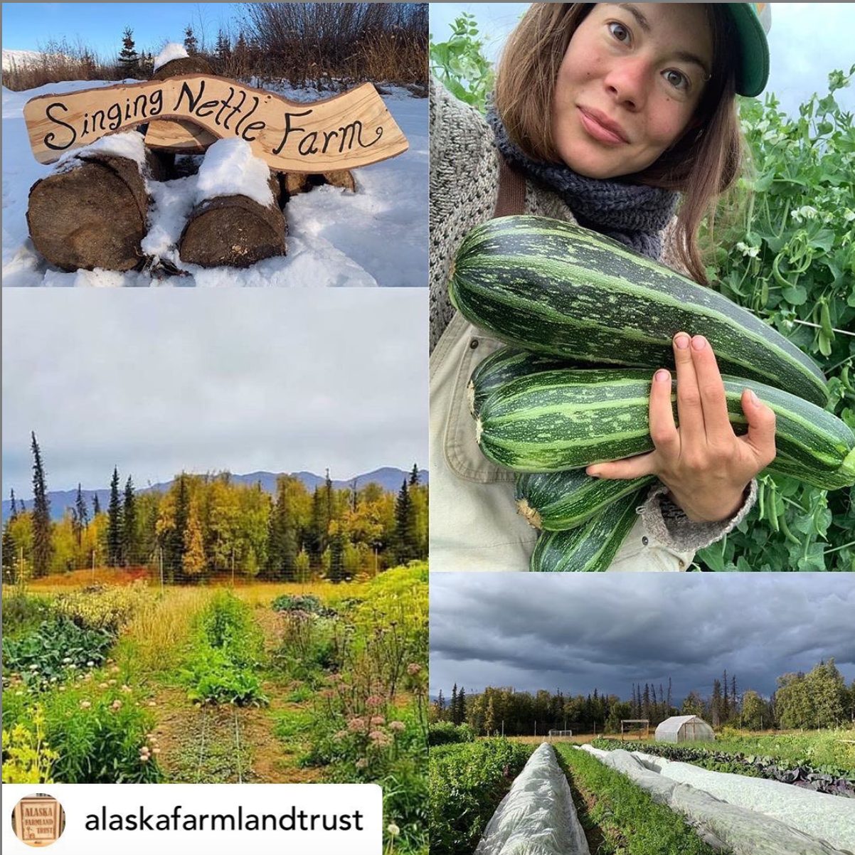 Home - Singing Nettle Farm