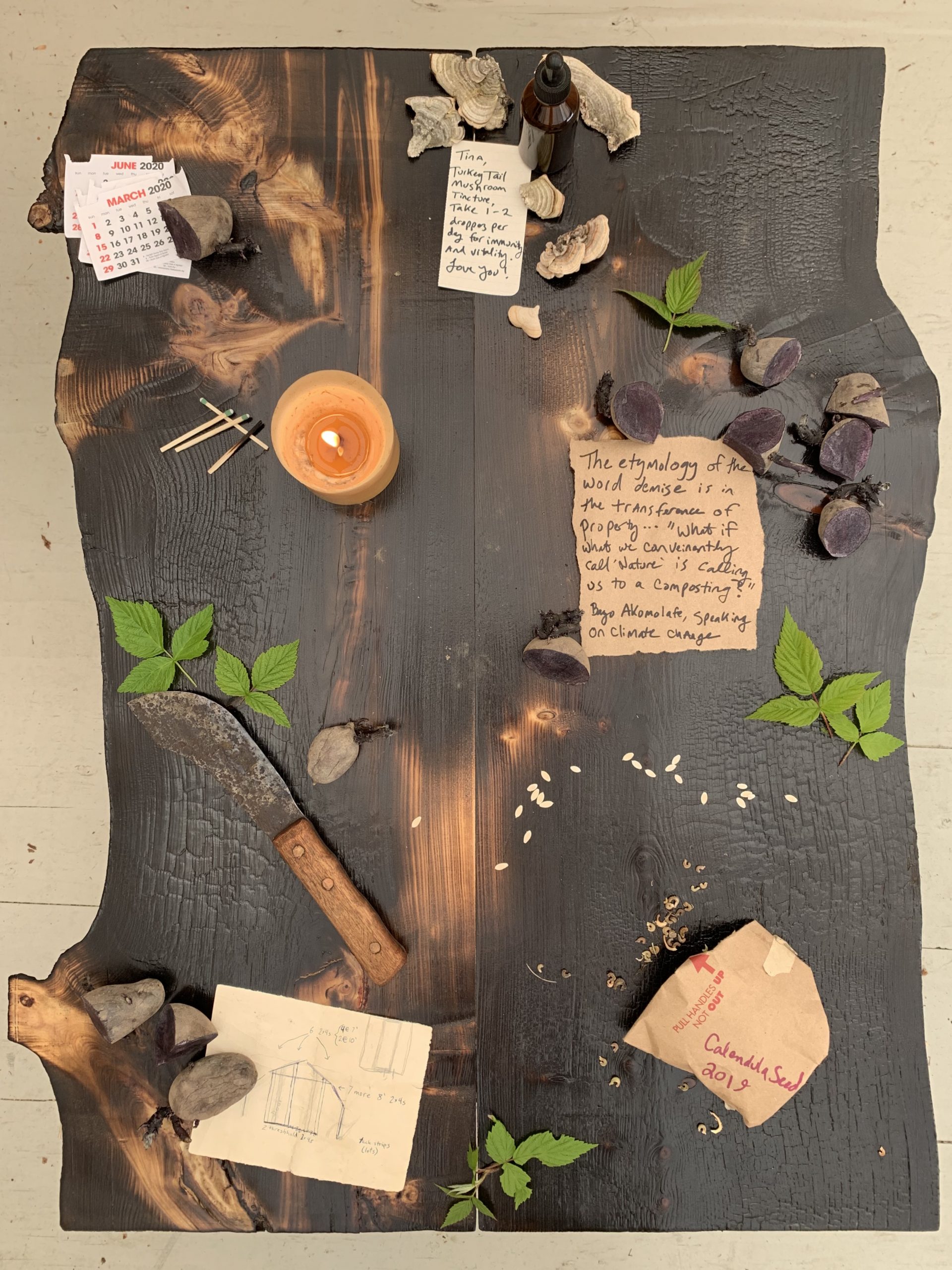 What’s On The Table? - Singing Nettle Farm